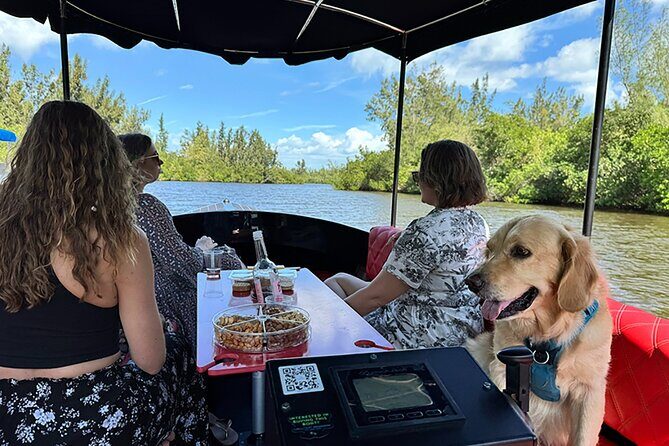 Dolphin Boat Tour in Vero Beach - Summary: Who Should Book This Tour?