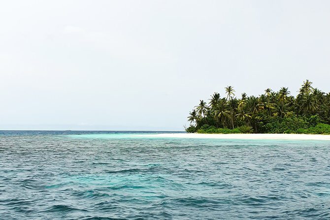 Dolphin Cruise in Huraa - Who This Tour is Perfect For