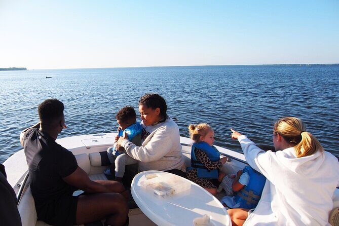 Dolphin cruise in Santa Rosa Beach - Exploring the Santa Rosa Beach Dolphin Cruise