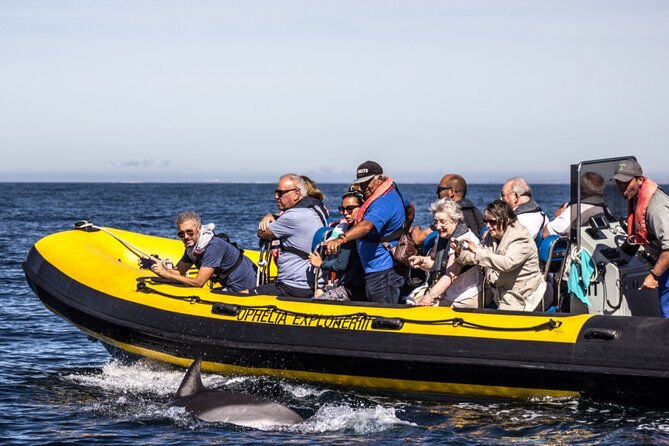 Dolphin Discovery - Health and Safety Restrictions