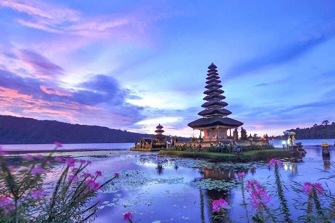 Dolphin Discovery: Exploring the Wild Habitat in North Bali - A Deep Dive into the North Bali Dolphin Habitat Tour