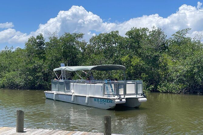 Dolphin Eco Cruise Nature Adventure in Cocoa Beach - Key Points
