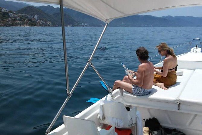 Dolphin Encounter - The Experience: What You Can Expect