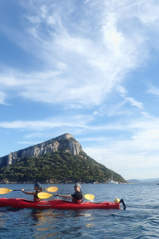 Dolphin Kayak Safari at Sunset at Golfo Aranci - Who should consider this experience?