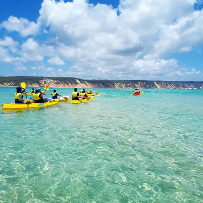 Dolphin Kayak Tour & Beach 4X4 National Park Tour (Private) - The Sum Up