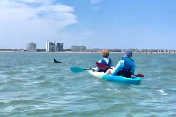 Dolphin Kayak Tour in Virginia Beach Must know how to swim - Exploring the Virginia Beach Dolphin Kayak Tour