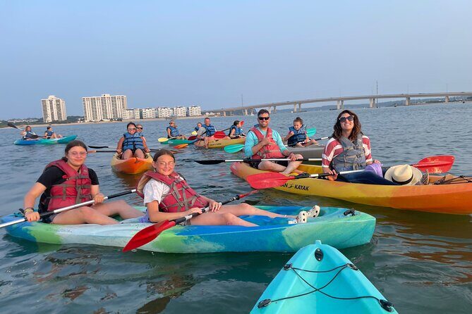 Dolphin Kayak Tour in Virginia Beach Must know how to swim - Authentic Experiences and Reviews