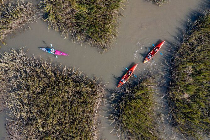 Dolphin Kayak Tour on Folly Beach - An In-Depth Look at the Folly Beach Dolphin Kayak Tour