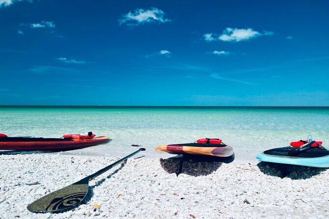 Dolphin, Manatee and Sea Turtle Adventure Tour of Bonita Springs - Additional Details and Practical Tips
