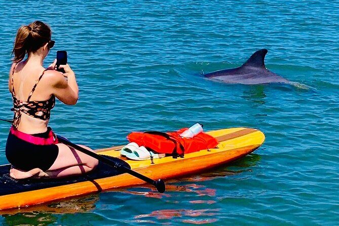 Dolphin, Manatee and Sea Turtle Kayak Adventure - Price, Booking, and Overall Value