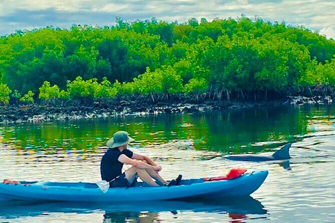 Dolphin, Manatee and Sea Turtle Kayak Adventure - FAQ