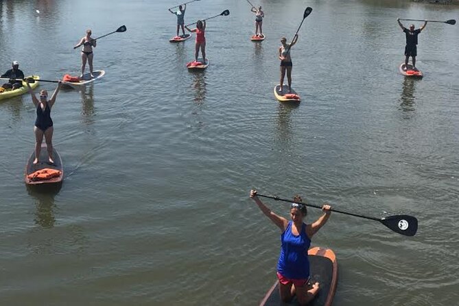 Dolphin, Manatee and SeaTurtle SUP Adventure Tour of St Augustine - Summary: Is This Tour Worth Your Time?