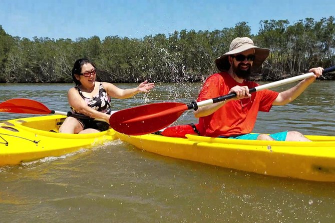 Dolphin & Manatee Kayaking Tour in Orlando Area - Weather and Cancellation Policy