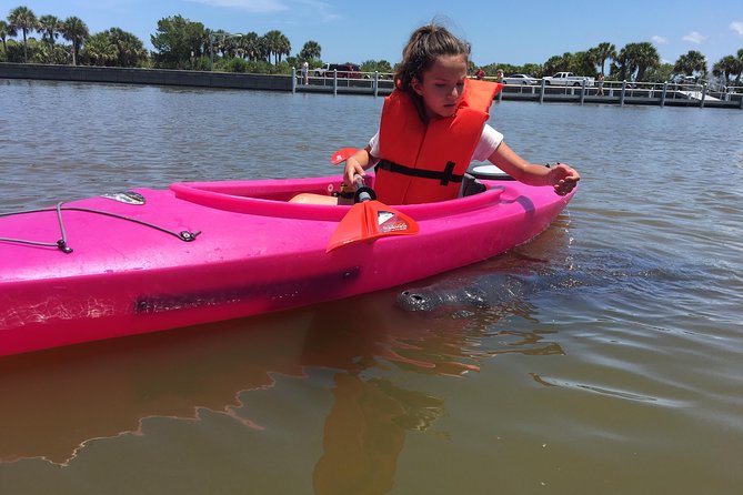 Dolphin & Manatee Kayaking Tour in Orlando Area - Traveler Ratings and Testimonials