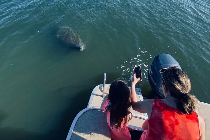 Dolphin/Manatee Pontoon Boat Tour with Local Expert - Key Points