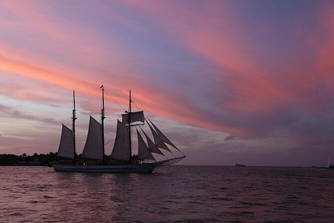 Dolphin Morning Watching & Snorkeling + open bar + 1 day Hop-On Hop-Off Fun - FAQ