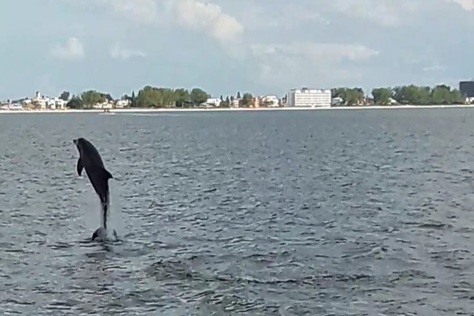 Dolphin Quest - Sightseeing/Eco Cruise, John's Pass, Madeira Beach, FL - Who Will Love This Tour?