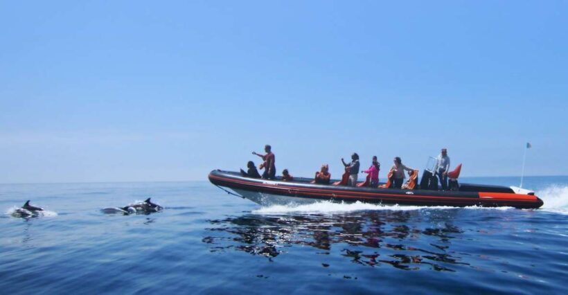 Dolphin Safari and Cave Tour in Vilamoura - Detailed Breakdown of the Experience
