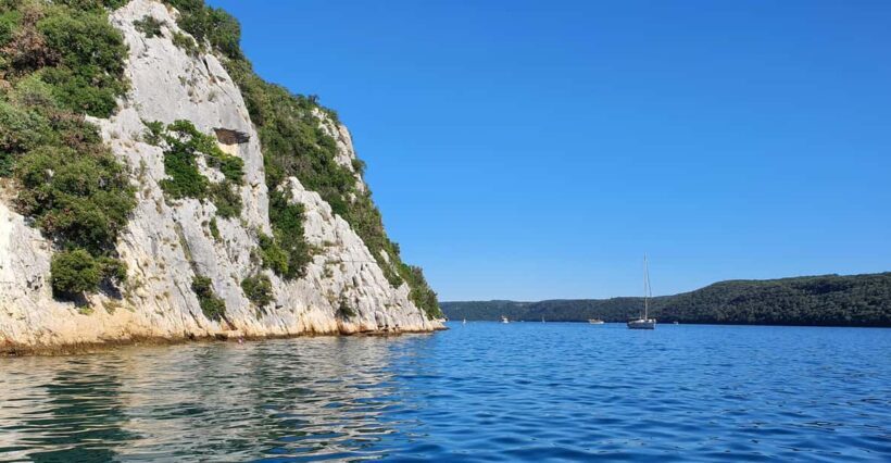 Dolphin safari every evening - Dolphin Safari Every Evening in Istria: A Practical Review