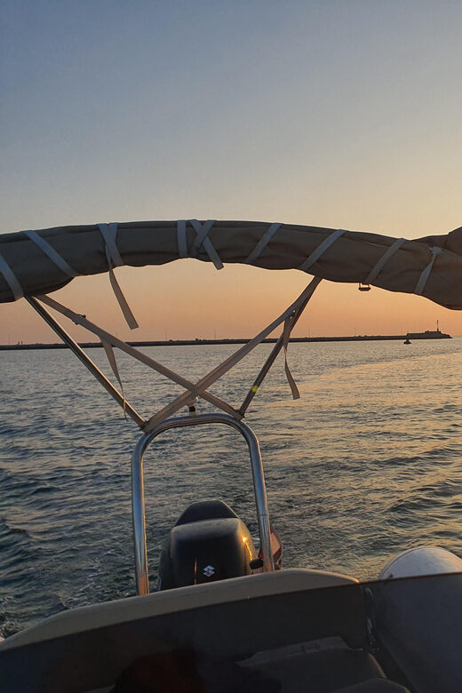 Dolphin safari every evening - Who Should Join This Tour?