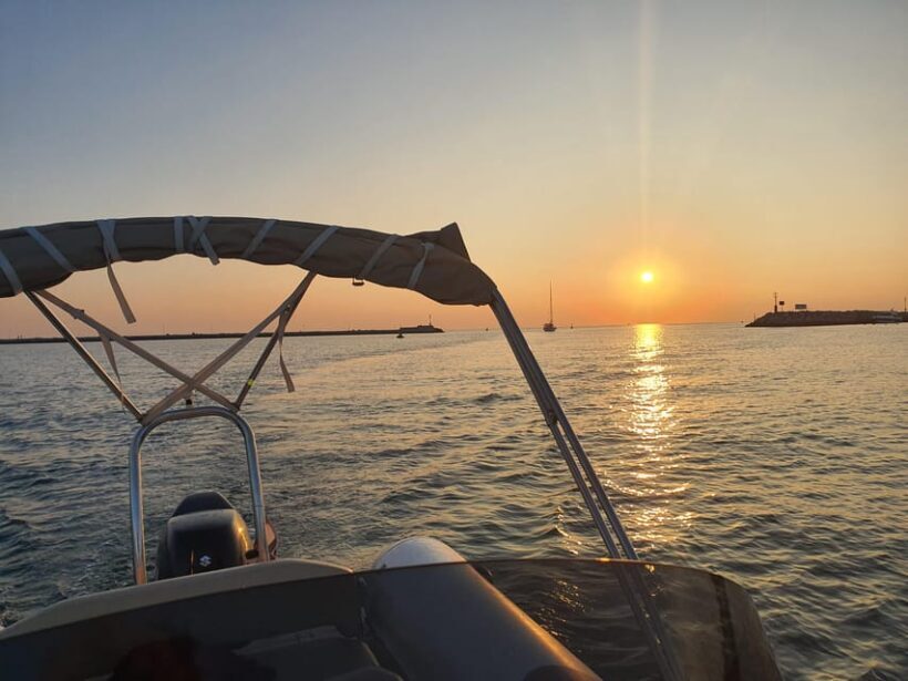 Dolphin safari every evening - Final Thoughts
