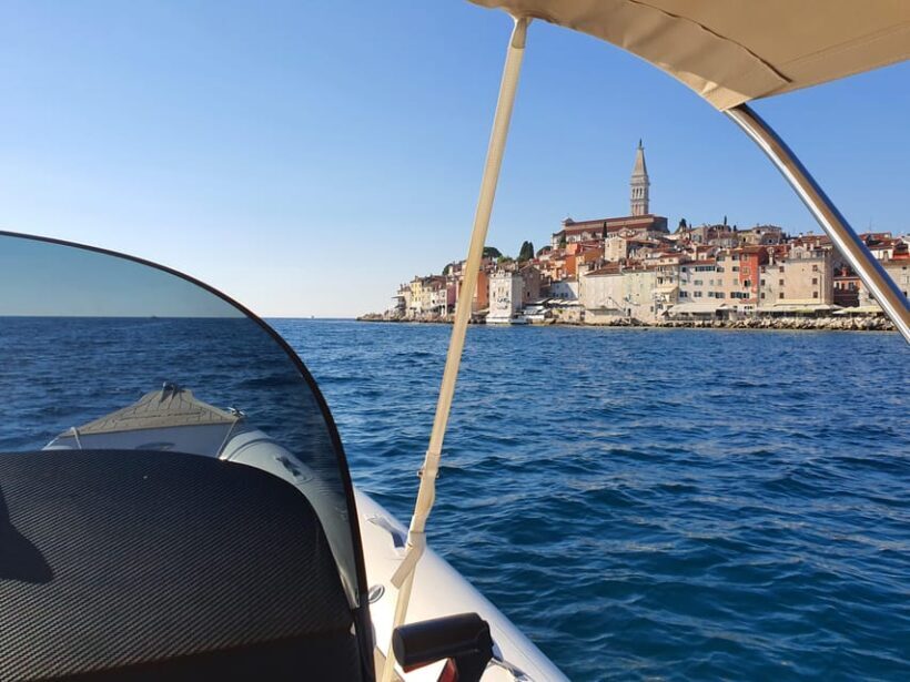 Dolphin safari every evening - FAQ