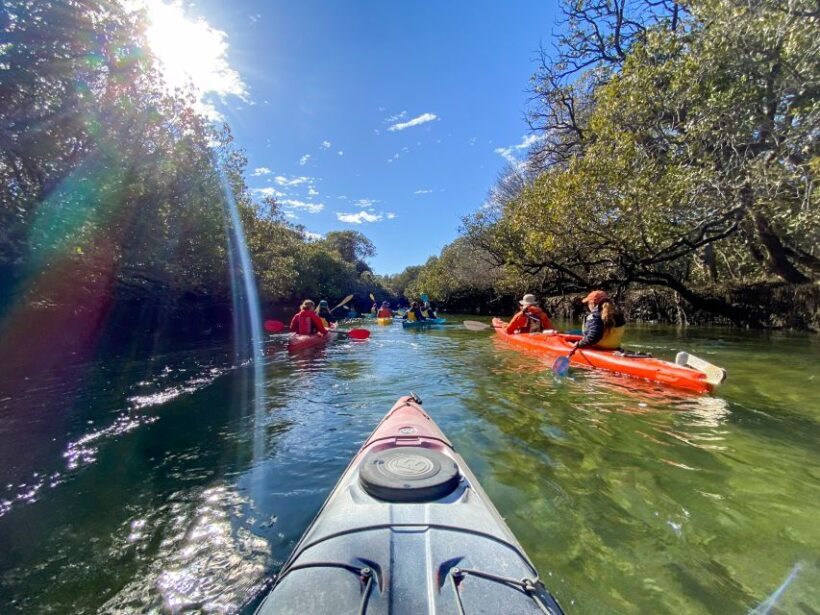 Dolphin Sanctuary and Ships Graveyard Kayak Tour - Key Points