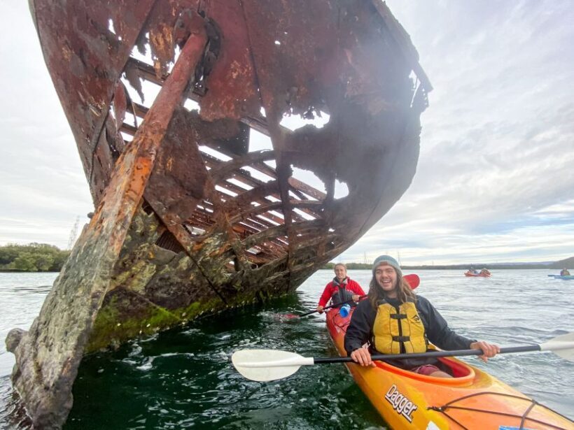 Dolphin Sanctuary and Ships Graveyard Kayak Tour - FAQ: Your Questions Answered