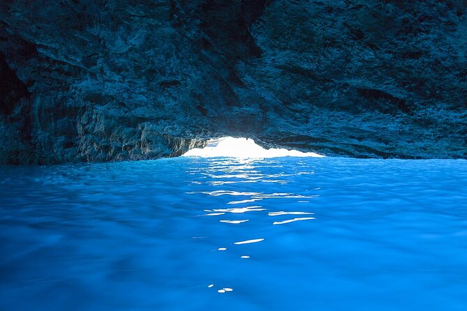 Dolphin, Sea Cave, Captain Cook, Kealakekua Bay Reef Snorkeling - Final Thoughts: Is It Worth It?