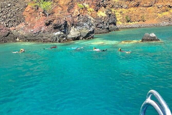 Dolphin, Sea Cave & Captain Cook Snorkel Combo in Kealakekua Bay - Feedback and Recommendations
