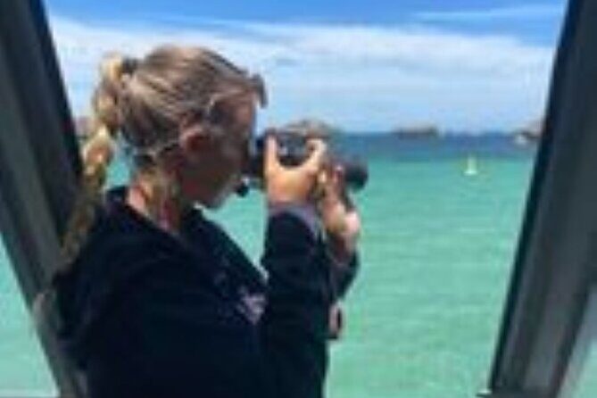 Dolphin, Sea Lion and Penguin Island Cruise - Frequently Asked Questions