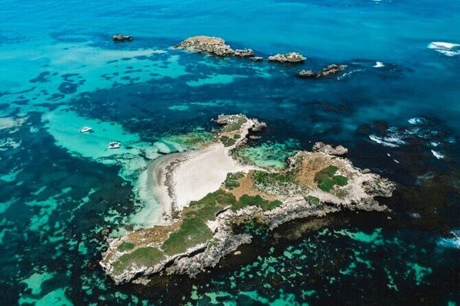 Dolphin, Sealion & Wildlife Snorkel Adventure - Key Points