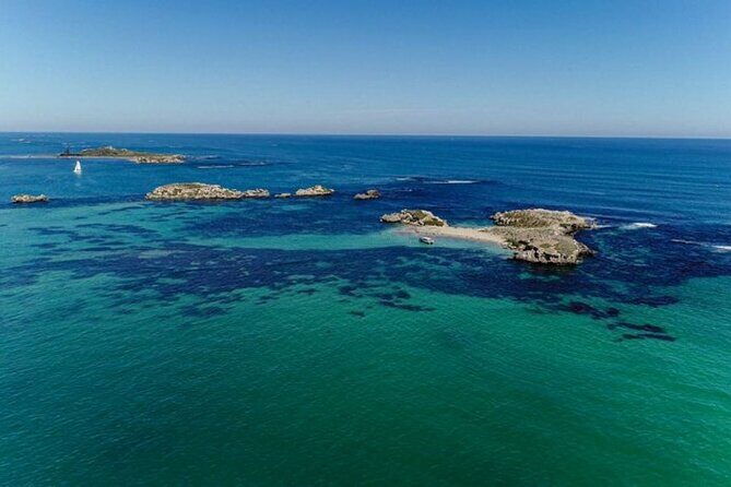 Dolphin, Sealion & Wildlife Snorkel Adventure - The Itinerary: What to Expect