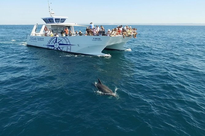 Dolphin Search - Dolphin Quest - Meeting Locations and Transportation Options
