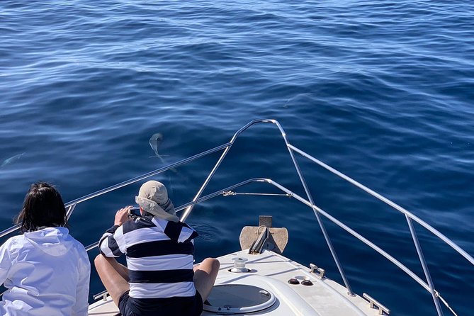 Dolphin Searching Tour in Puerto De Mogán Review - Considerations for Families and Small Groups