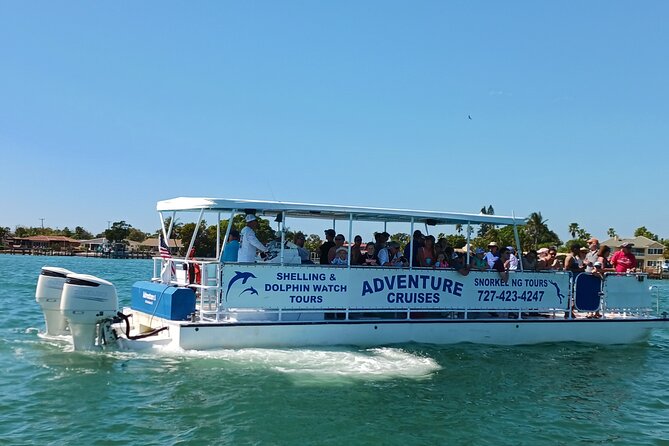 Dolphin /Shelling/Snorkeling tours Private Charters - Who This Tour Is Perfect For