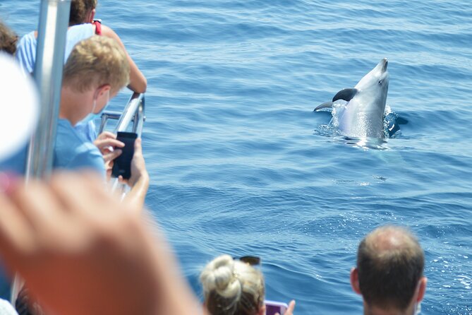 Dolphin Sightseeing Boat Tour From Benalmadena - Cancellation and Booking Policies