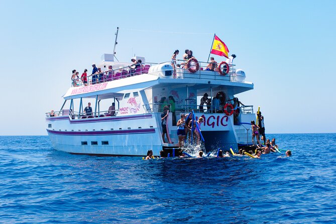 Dolphin Sightseeing Boat Tour From Benalmadena - Customer Experiences and Feedback