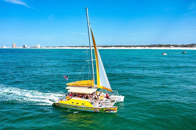 Dolphin Sightseeing Tour on The Footloose Catamaran from Panama City Beach - Who Should Consider This Tour?