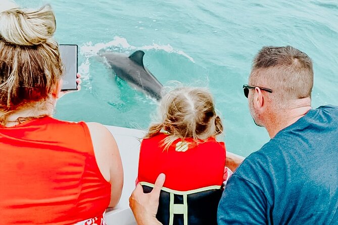 Dolphin Snorkel & Sandbar - Tips for a Memorable Experience