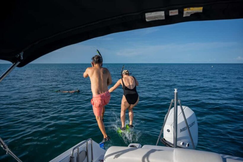 Dolphin & Snorkeling Key West - Exploring the Dolphin & Snorkeling Key West Tour: An Honest Review