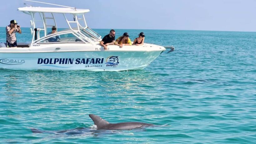 Dolphin & Snorkeling Key West - FAQ