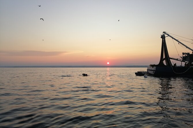 Dolphin Sunrise Adventure With Speedboat - Meeting Point and Pickup Information