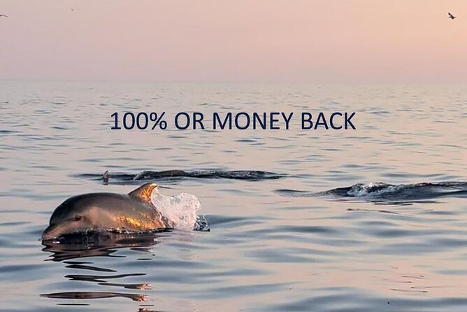 Dolphin Sunrise Adventure With Speedboat - Inclusions and Accessibility