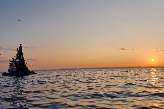 Dolphin Sunrise Adventure With Speedboat - Discovering the Dolphins and Sunrise