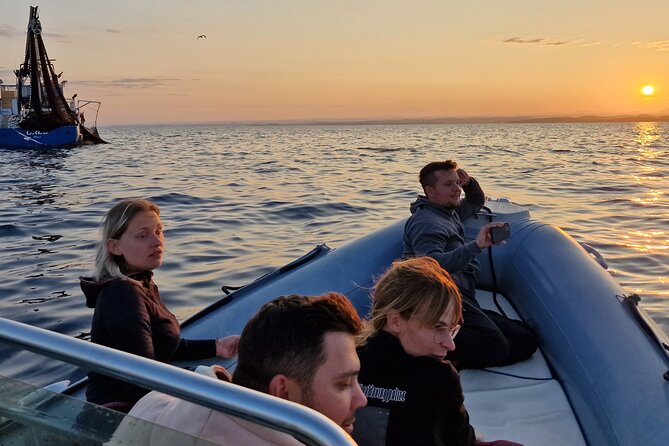 Dolphin Sunrise Adventure With Speedboat - Frequently Asked Questions