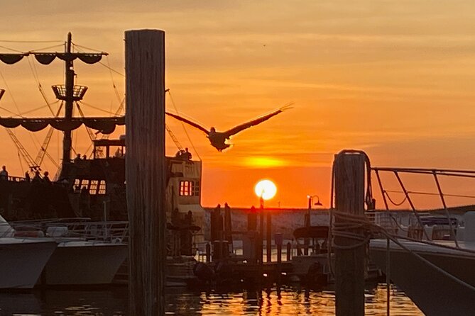 Dolphin & Sunset Cruises in Destin FL aboard the Hydrojet - Who Should Book This Tour?