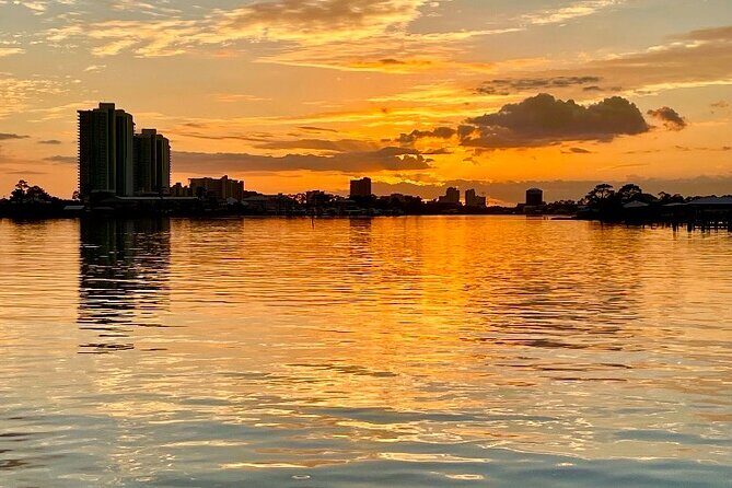 Dolphin Sunset Tour in Orange Beach - An In-Depth Look at the Dolphin Sunset Tour