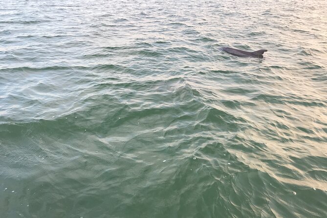 Dolphin Tiki Cruise Around Fort Myers Beach - What to Bring on Your Cruise