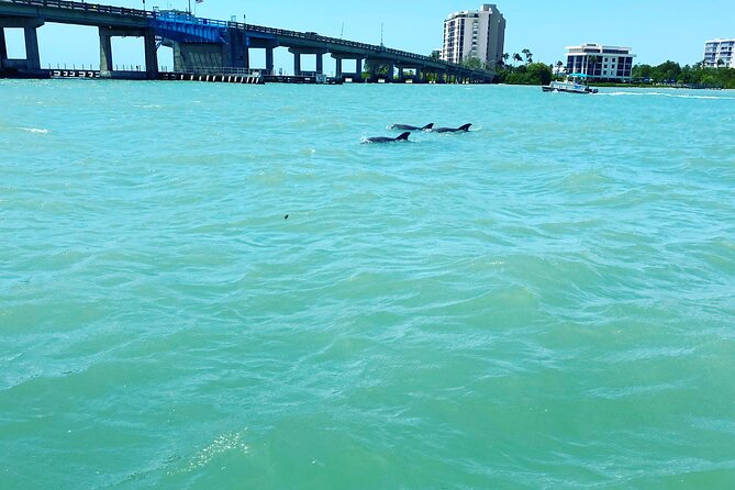Dolphin Tiki Cruise Around Fort Myers Beach - Frequently Asked Questions